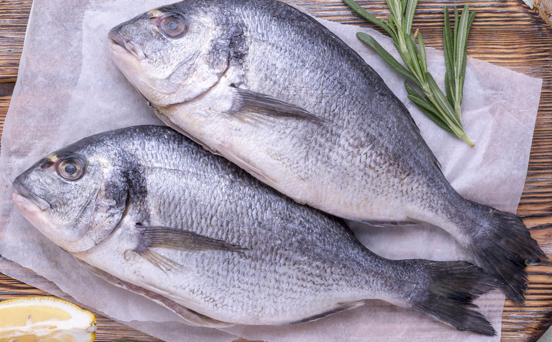 Cómo escoger un buen producto del mar - Pescadería Martínez Martelo